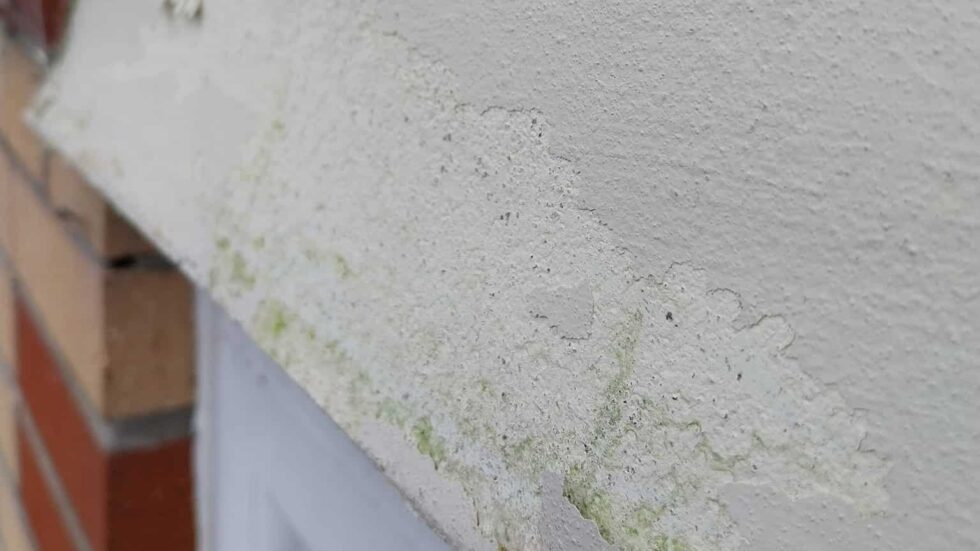 Painting Caulk - a Full Guide - Decorator's forum UK
