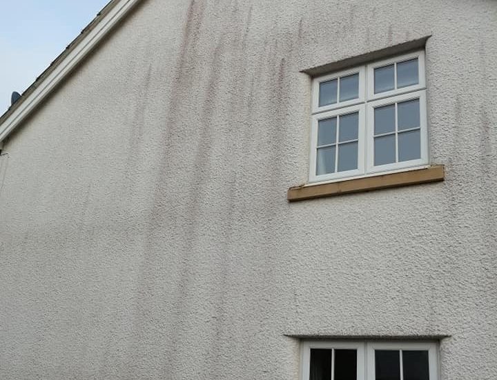 How to Paint Render – a Full Guide - Decorator's forum UK